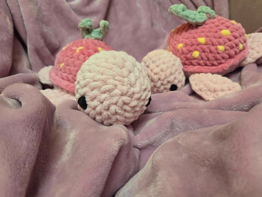 FREE Large Strawberry Turtle: Crochet pattern | Ribblr